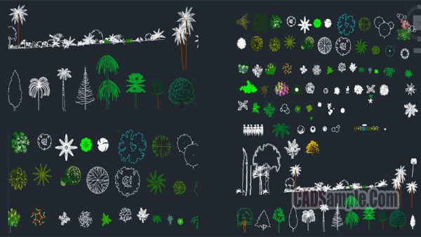 Vegetation Cad Blocks Dwg – CADSample.Com Free DWG CAD File